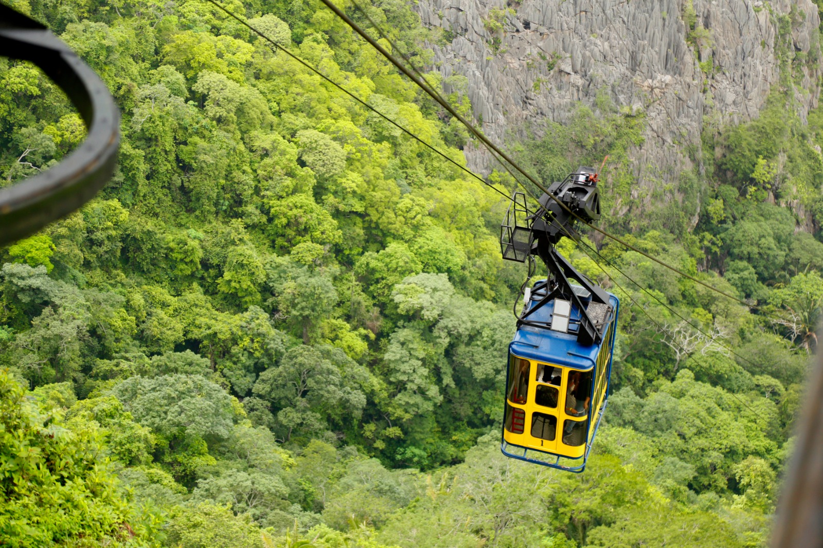 Parque Nacional de Ubajara celebra 65 anos de criação com o teleférico ...